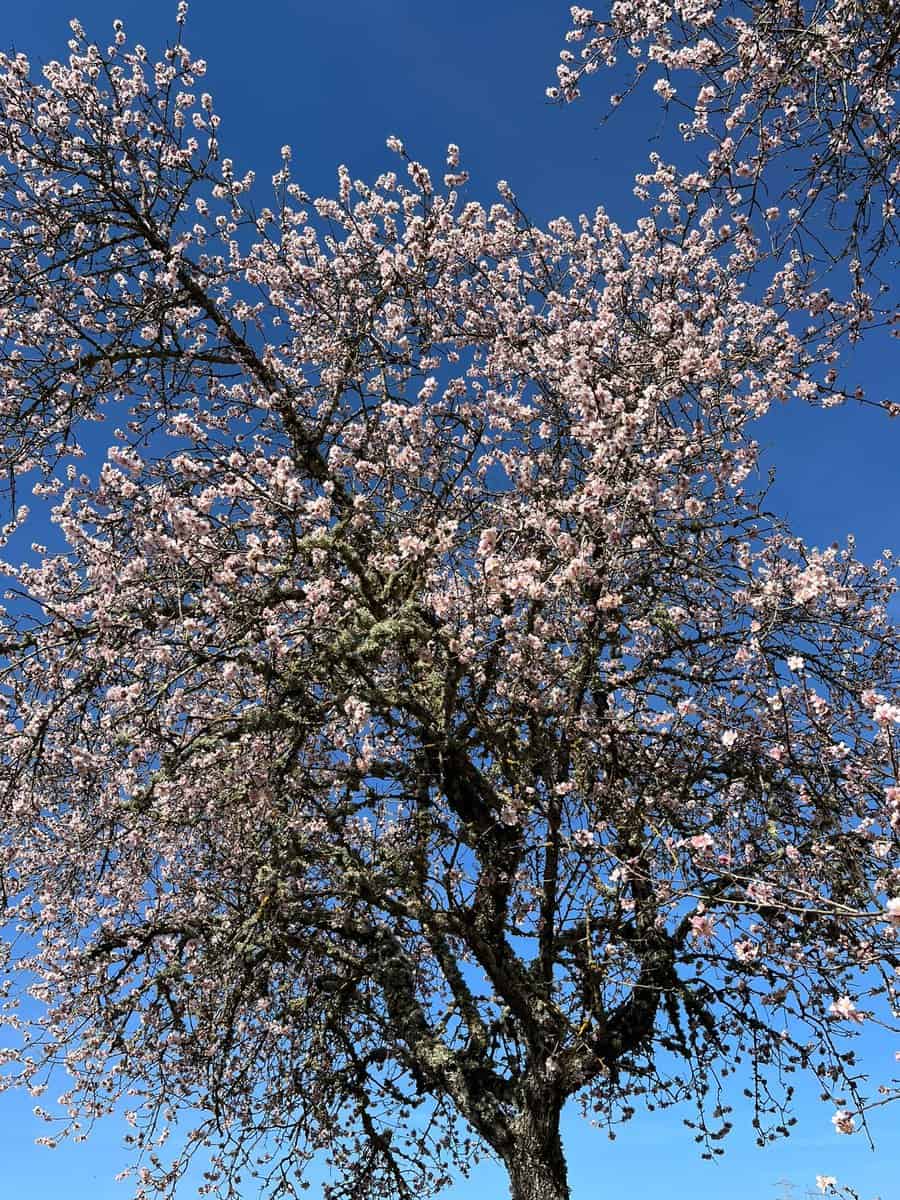 Kate on Sabbatical - Stroud Parish Churches